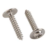 China Self Tapping Screws for Metal Custom M1.4 M2 M3 M4 M5 M6 Fasteners from High Grade 4.8/ 8.8/ 10.9/ 12.9 Ect for sale