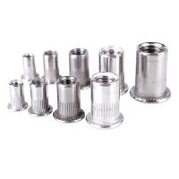 China Metric M3 M4 M5 M6 M8 M10 M12 Zinc and Wax Stainless Steel 304 316 Knurled Round Flat Head Blind Rivet Nut for Products for sale