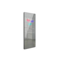 China LCD Smart Interactive Touch Screen Mirror 43inch Illuminated for Living Room for sale