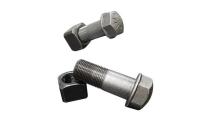 China Hexagon Head Track Shoe Bolt And Nut 22x65 DIN608 DIN605 for sale