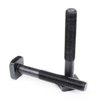 China Square Head Railway Track Bolts DX200 DX260 DX300 DH220 DH300 for sale