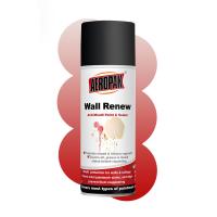 China 400ml Aerosol Anti Mould Stain Block Wall Spray Paint for Interior Walls and Ceilings for sale