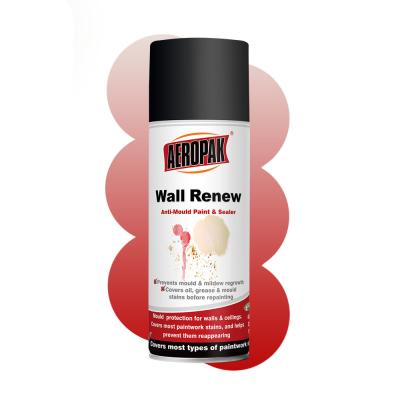 China 400ml Aerosol Anti Mould Stain Block Wall Spray Paint for Interior Walls and Ceilings for sale