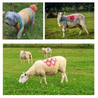 China Aeropak 500ml Animal Marking Paint Animal Marker for sale