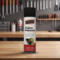 China China Factory Car Engine Cleaner for sale