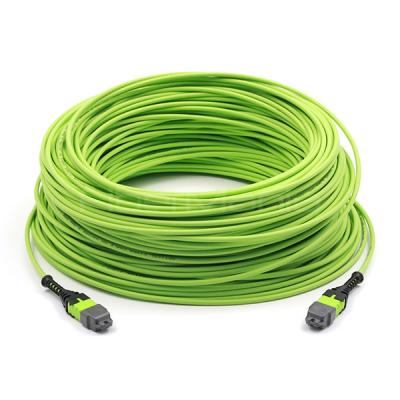 China MPO Trunk Cable Assembly 24 Fibers OM5 OFNP Lime Jacket - 400m 10G Distance, 150m 100G for sale