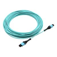 China MPO Pro Male to MPO Pro Male Trunk Cable Assembly 12 Fibers OM4 Aqua Jacket 400m 10G Distance for sale
