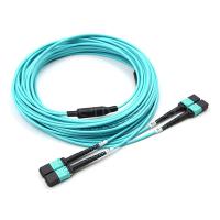 China FiberMania 2xMPO Female Trunk Cable 24 Fibers OM3 50/125μm for 40G/100G Networks for sale