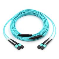 China FiberMania 2xMPO Female Trunk Cable 24 Fibers OM3 50/125μm for 40G/100G Networks for sale