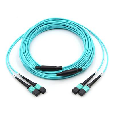 China FiberMania 2xMPO Female Trunk Cable 24 Fibers OM3 50/125μm for 40G/100G Networks for sale