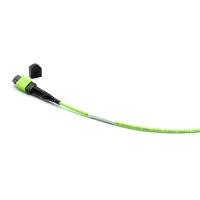 China 12-Fiber MPO Trunk Cable Female to Female Polarity A OM5 OFNP Lime Jacket - 400m 10G Distance for sale