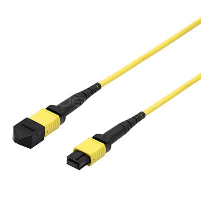 China MPO Female to Female Trunk Cable 12 Fibers OM3 50/125μm Type A - 400m 10G Distance for sale