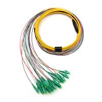 China LC APC 24-Core OFNR W/2 Tight Buffer Fiber Optic Pigtail Single Mode OS2 9/125μm Yellow Jacket for sale