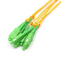 China SC APC 8-Core Fiber Optic Pigtail Patch Cord Single Mode OS2 PE Black Jacket - 1310/1550 nm for sale