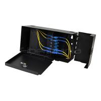 China Black Wall Mount Fiber Enclosure for 2 LGX Adapter Panels - 19