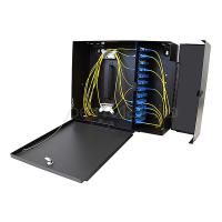 China Compact LGX Wall Mount Fiber Optic Enclosure for 12 Adapter Panels - 19