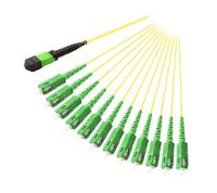 China MTP APC Female to 12 SC APC Simplex Fanout Cable OS2 1M 12 Fibers Single Mode for sale