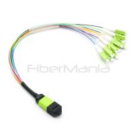 China MPO Male to LC 0.9mm Fiber Patchcord Hytrel Jacket 0.3M for Data Centers for sale