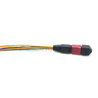 China MTP to LC MPO Fanout Cable 12 Core Corning ClearCurve Fiber Plug and Play for sale