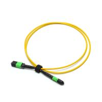 China MTP MPO Trunk Patch Cord 1m OM4 50/125μm 0.35dB Max for High-Speed Data Transmission for sale