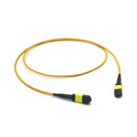 China MPO Trunk Cable Female to Female Single Mode OS2 12 Fiber 0.35dB Max Low Loss Plenum OFNP for sale