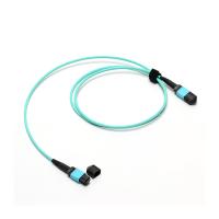China MPO Trunk Cable 12 Fibers OM3 OM4 Plenum 0.35dB Max Loss 150m for Data Centers for sale