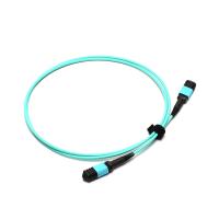 China MPO Trunk Cable 12 Fibers OM3 OM4 Plenum 0.35dB Max Loss 150m for Data Centers for sale