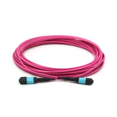China 12 Fibers Multimode OM4 MTP Jumper 0.35dB Max for High-Speed Data Transmission for sale