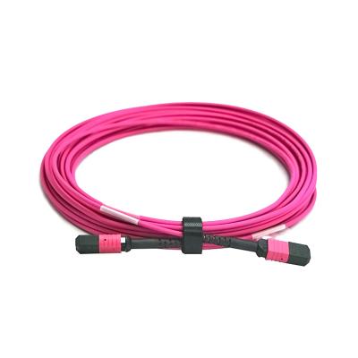 China MTP Trunk Cable Assembly 2M Length with Corning ClearCurve for High Bandwidth Data Transmission for sale