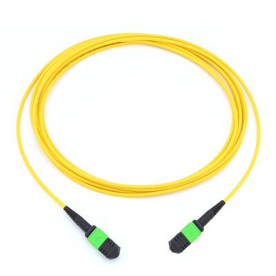 China MTP/APC to MTP/APC 1m (3ft) MTP Jumper SM Plenum (OFNP), for sale
