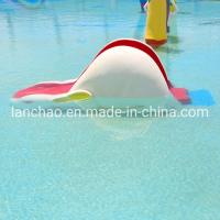 China Spray Small Water Slide for Swimming Pool Park for sale