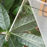 China Impact Resistance Transparent Cast Acrylic Sheet for Optimal Light Transmission for sale