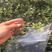 China 100% Virgin PMMA Extrusion Acrylic Sheet Clear 94% Light Transmission for sale