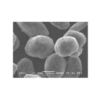 China High Capacity Artificial Graphite AGP-2L-S Anode Material Powder for Lithium Ion Battery EV for sale
