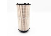 China Truck Assessories Diesel Engine Fuel Filter PU941X FF5423 1446432 for sale