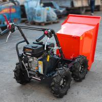 China 300 Kg/500 Kg/800 Kg Hydraulic Tracked Gasoline/Diesel Mini Dumper with EPA Engine for sale