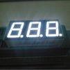 China 14.2mm Common Anode 7 Segment Display Green 37.6 x 19mm Outer dimension Long Life for sale