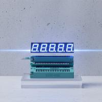 China Ultra Bright White 0.56-inch 5-Digit 7 Segment LED Display with Common Anode for Process Control for sale