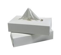 China Home Soft Skin-Friendly Dry Tissue Paper with Strong Water Absorption 2 Layers for sale