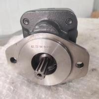 China 100% Industrial Machinery Fucheng Series Double Direction of Rotary Hydraulic Gear Pump for sale