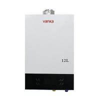 China 12L Wall Mounted Gas Water Heater with 31kW Heat Load and 16kg/Min Flow Rate for Indoor Installation for sale