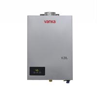 China 12L Force Exhaust Digital Gas Water Heater with 31kW Heat Load and 16kg/Min Hot Water Production for Indoor Installation for sale