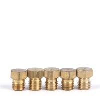 China Customizable Brass Gas Stove Injector Nozzle - 0.75mm, 0.9mm, 0.15mm Sizes for Kitchen Cooking Appliances for sale