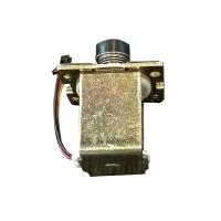 China Vangood ZD131B Natural Gas Solenoid Valve for Water Heaters - Metal Construction with Temperature Control for sale