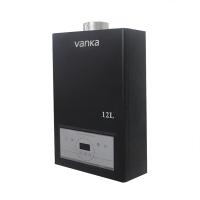 China Vanka 220V Electronic Direct Vent Gas Water Heater Wall Mounted 2000W LED Display for sale