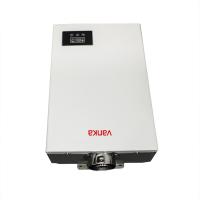 China Indoor Tankless Wall Mounted Gas Water Heater with 220V Power and Oxygen-Free Copper Heat Exchanger for sale