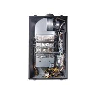 China 24L Natural Gas Water Heater with Forced Exhaust System - Class A Energy Efficiency for Home Use for sale