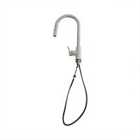China Adaptive Multiuse Kitchen Tap with 500,000 Cycle Durability and 1.5MPa Pressure Resistance Single Handle Sink Mixer for sale
