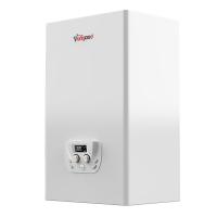 China Wall Mounted Gas Combi Boiler 90% Efficiency Sealed Combustion for Home Heating and Hot Water for sale