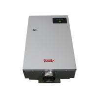 China 12L Forced Exhaust Digital Gas Water Heater with 31kW Heat Load and 16kg/Min Hot Water Production for sale